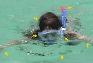 How to filter the interlaced video with EnhanceMovie?